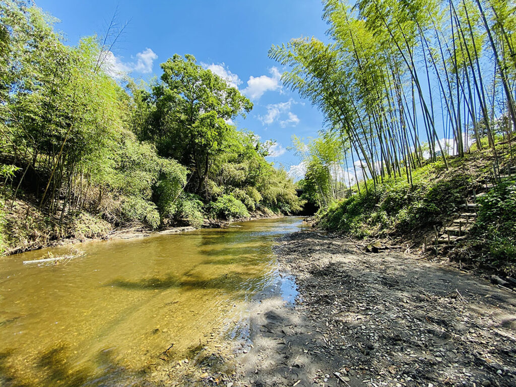 千葉・君津の手ぶらBBQ＆川遊びならPGFLAND｜自然を満喫できるアウトドアスポット